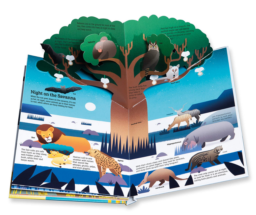 The Ultimate Book of Savannah Animals – Kinderplay Playthings