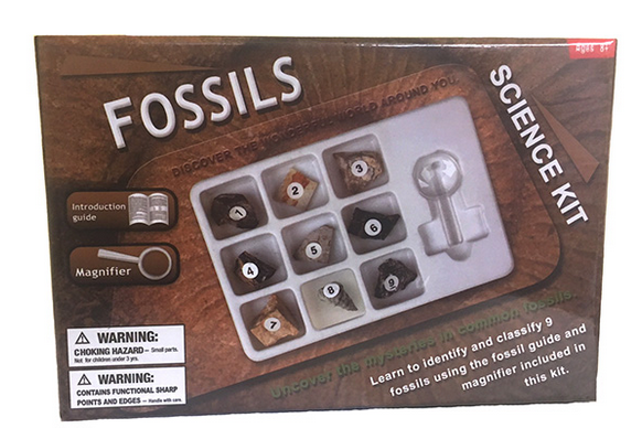 Team Toyboxes Fossils Science Kit – Kinderplay Playthings