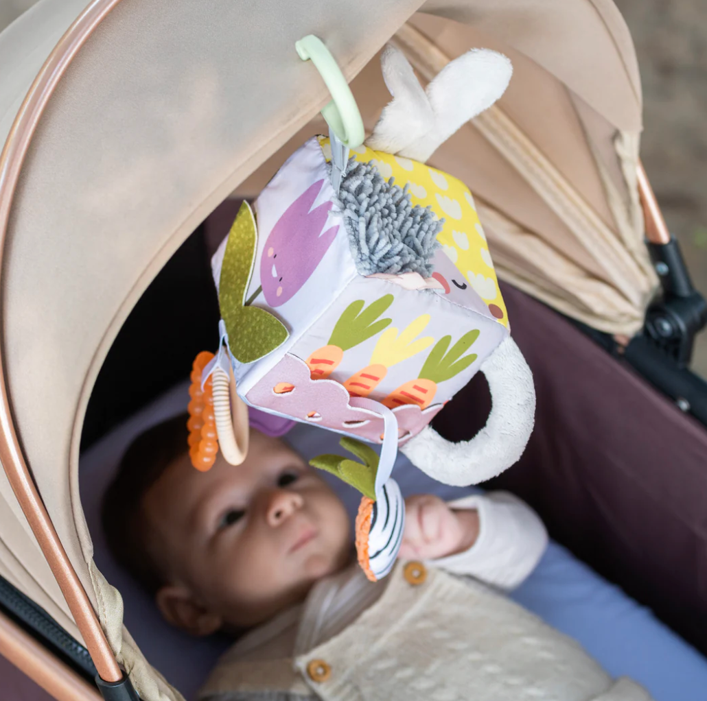 Taf Toys Garden Activity Cube – Kinderplay Playthings