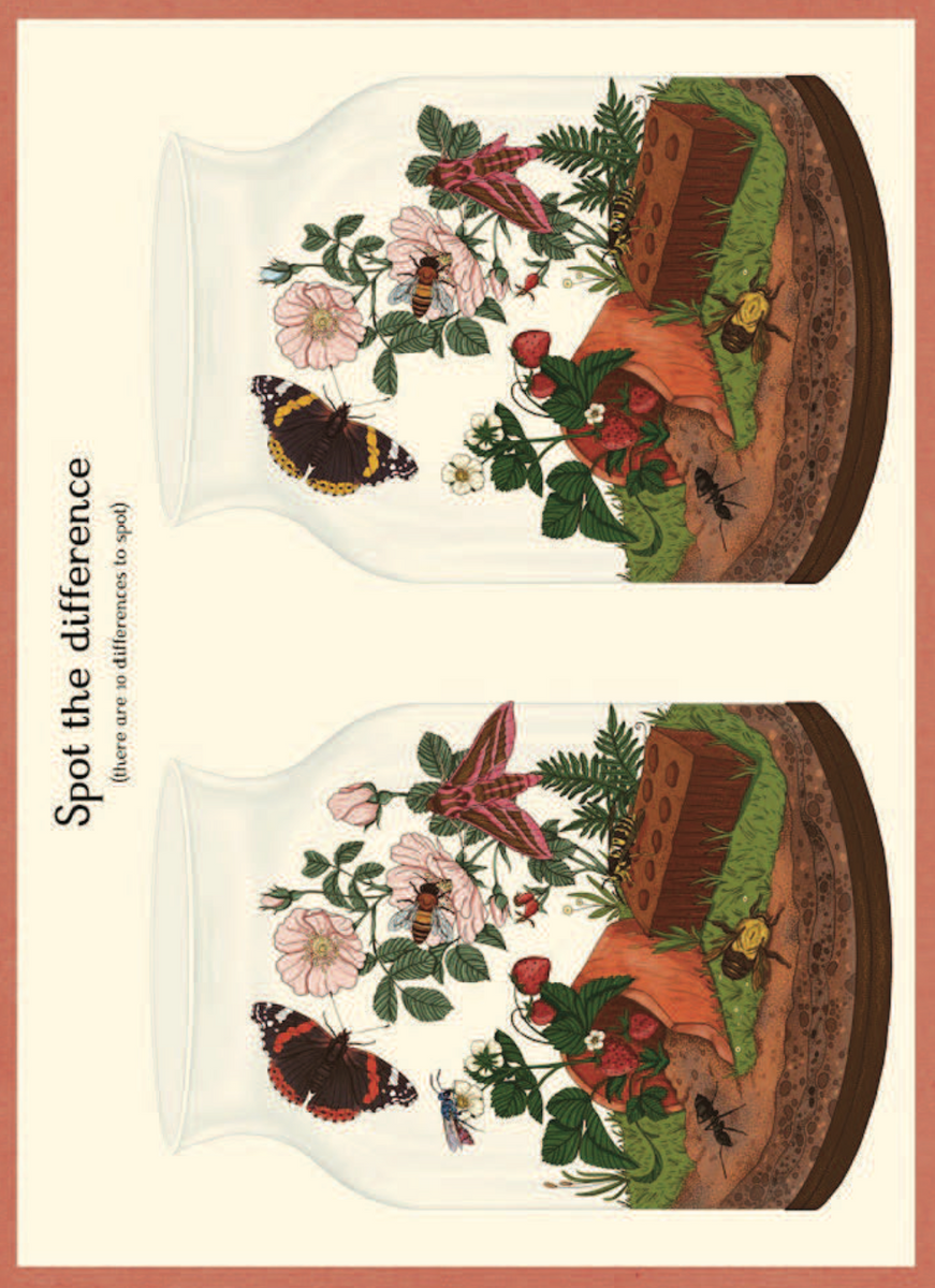 Insectarium Activity Book (Welcome to the Museum) – Kinderplay Playthings
