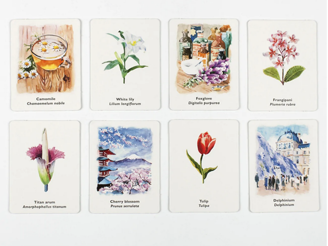 Pick A Flower: A Memory Game – Kinderplay Playthings